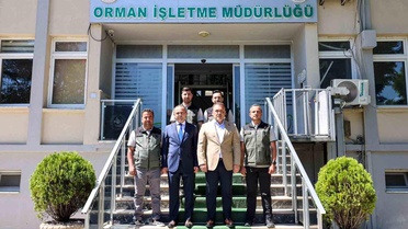 Son Dakika Orman Yangınları Haberleri - Orman Yangınları Son Dakika