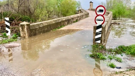 Son Dakika Tunca Nehri Haberleri - Tunca Nehri Son Dakika