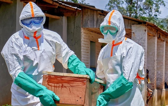 Son Dakika Ebola Haberleri - Ebola Son Dakika