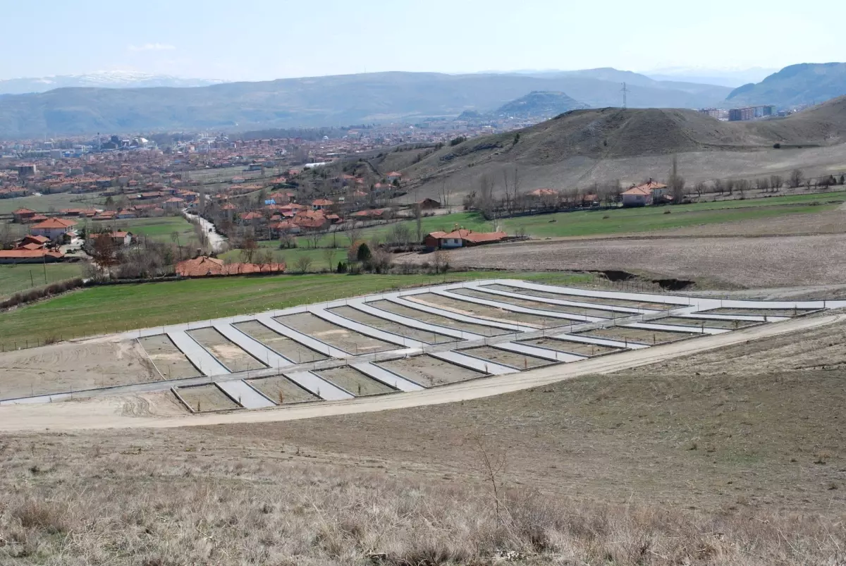 Turhal'a Şehir Mezarlığı - Haberler