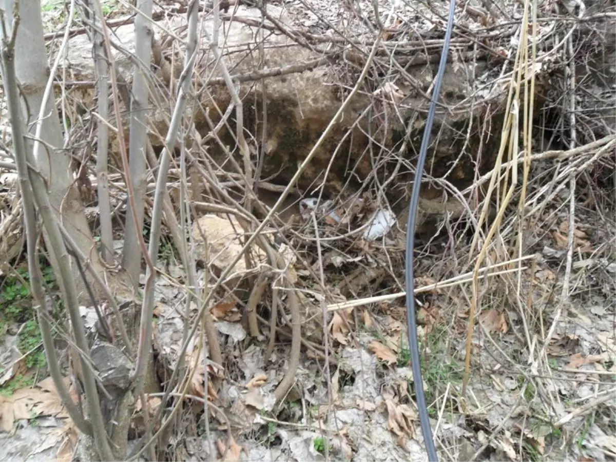 Şemdinli'de PKK Sığınağı Bulundu - Son Dakika