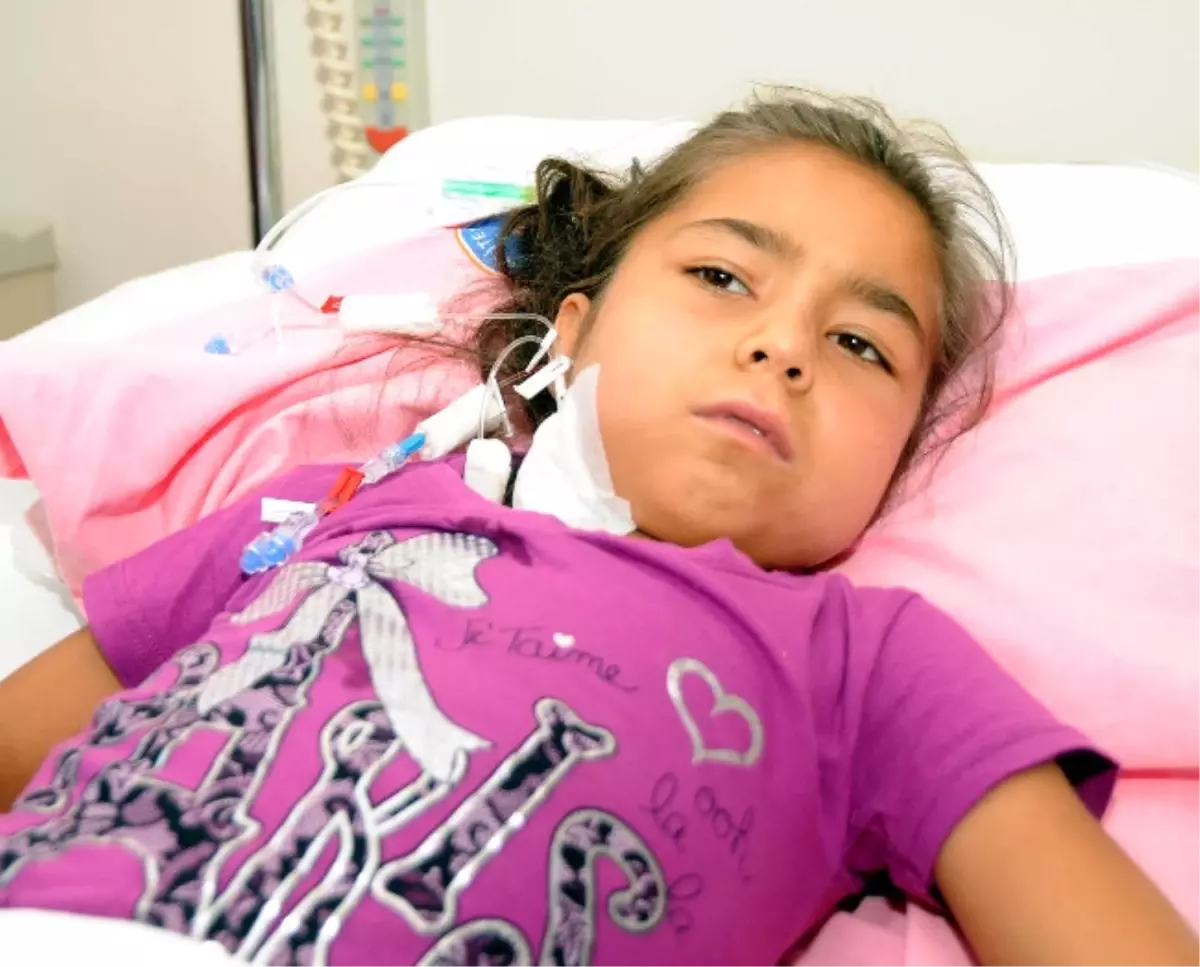 Tuğba'dan Büşra'ya Üçüncü Şans - Son Dakika