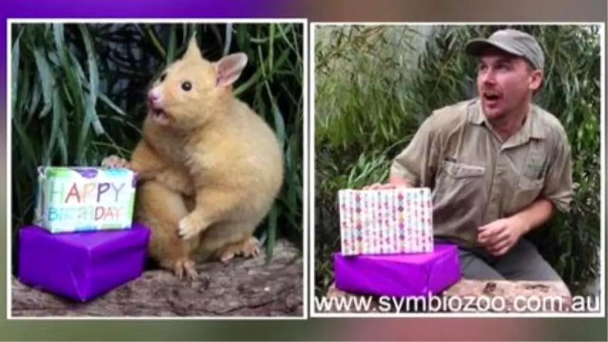 Zookeepers Copy Animal Poses In Hilarious Viral Photos - Son Dakika