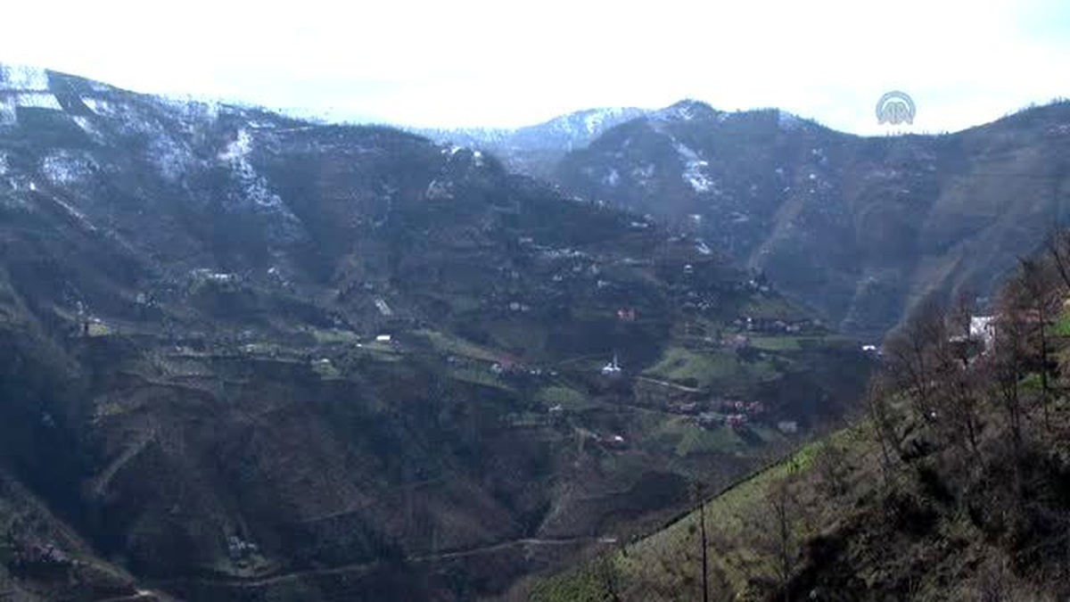 Kuşdili" Konuşan Kuşköy'ün Gözü Unesco'da - Haberler