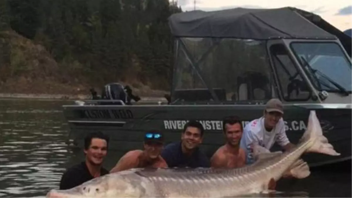 Efsanevi 'Domuz Burun' Yıllar Sonra Yakalandı! - Son Dakika