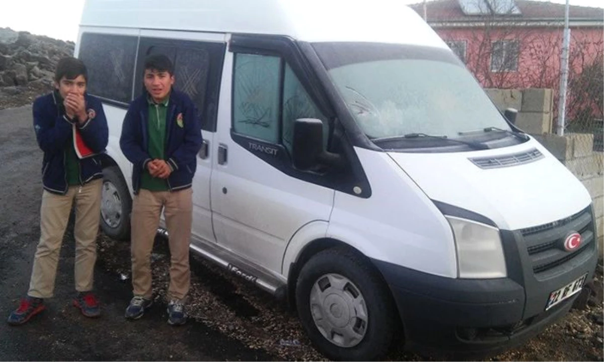 Yavuzeli'nde Don, Hayatı Olumsuz Etkiledi - Son Dakika