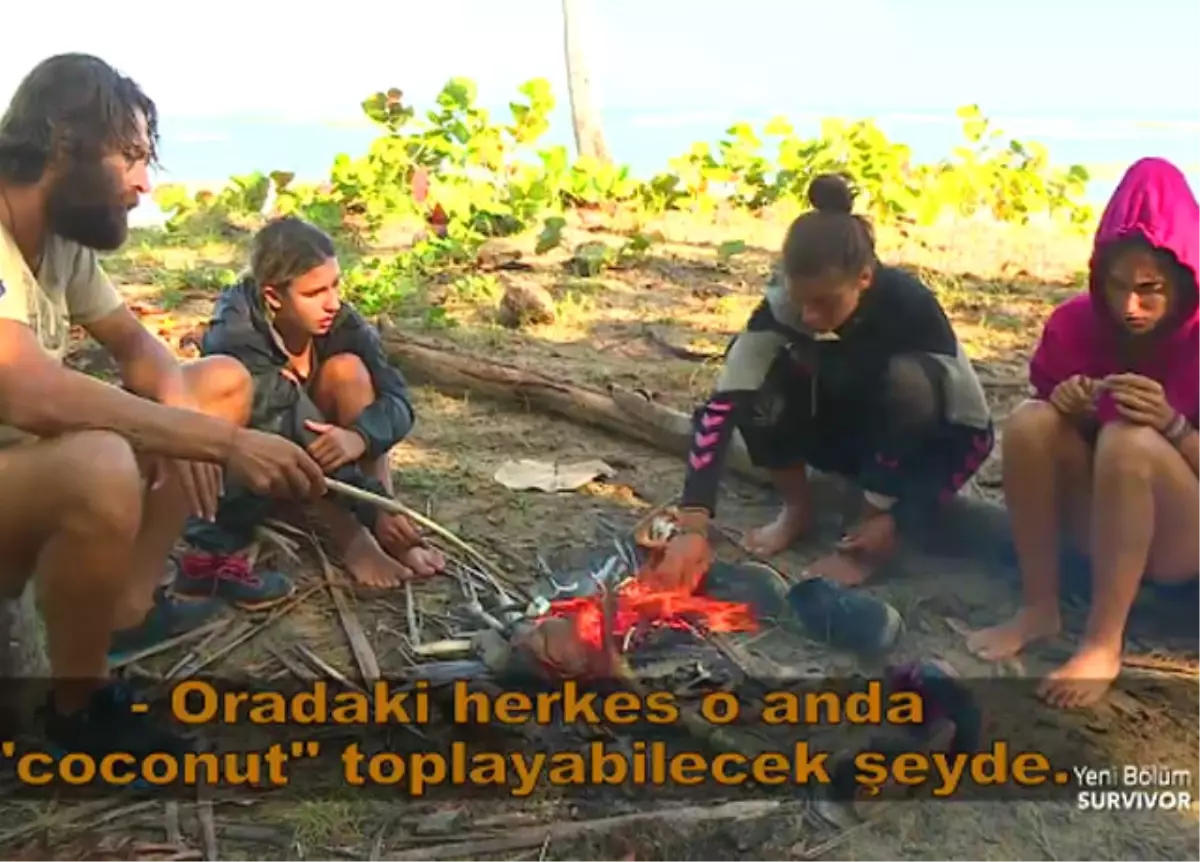 Gönüllüler Arasında Fikir Ayrılıkları! Toplanan Coconutlar Sorun Yarattı... - Son Dakika