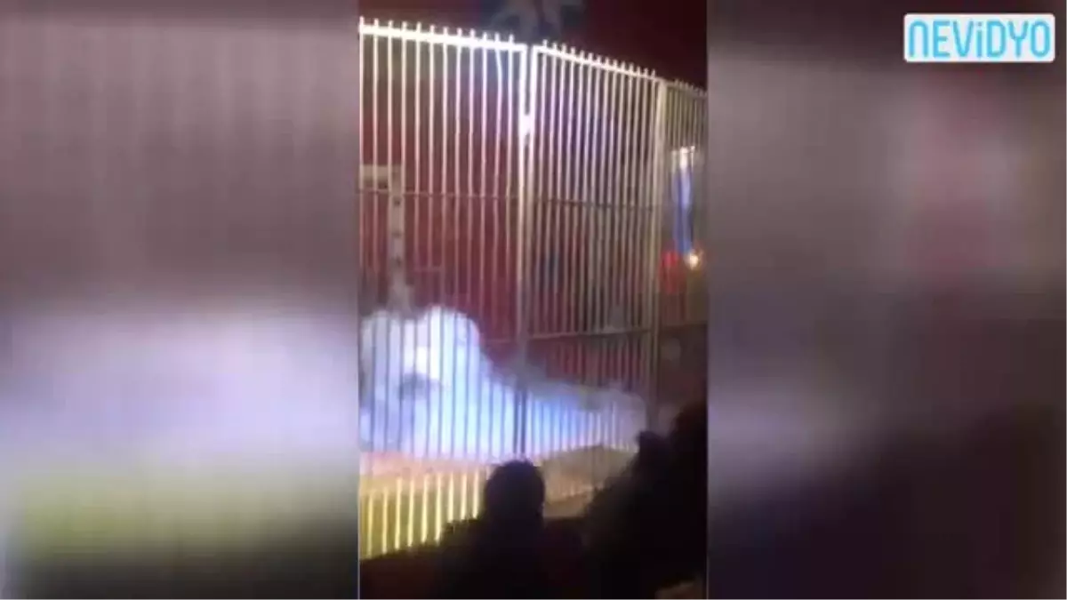 Sirkte Dehşet Anları! Aslan... (+18) - Son Dakika Sirkte Dehşet Anları! Aslan... (+18) - Son Dakika