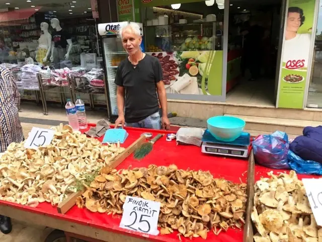 Fındık mantarı 25 liradan tezgahlardaki yerini aldı - Son Dakika