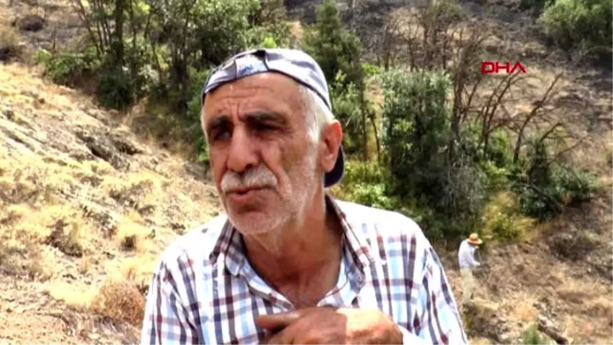 Bayburt'ta orman yangını - Son Dakika