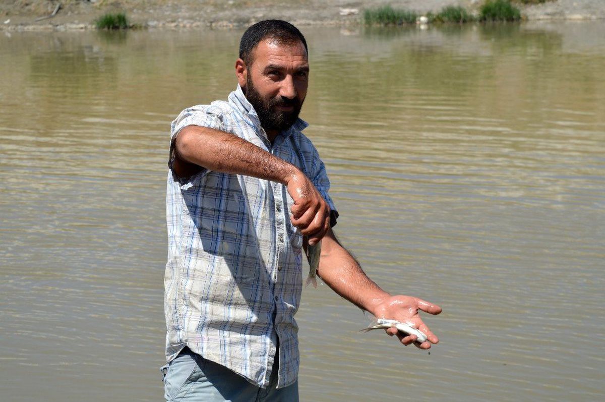Murat Nehri'nde balık ölümleri endişelendirdi - Son Dakika