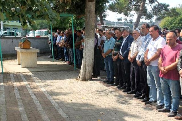 Son Dakika Boğazpınar Haberleri - Boğazpınar Son Dakika