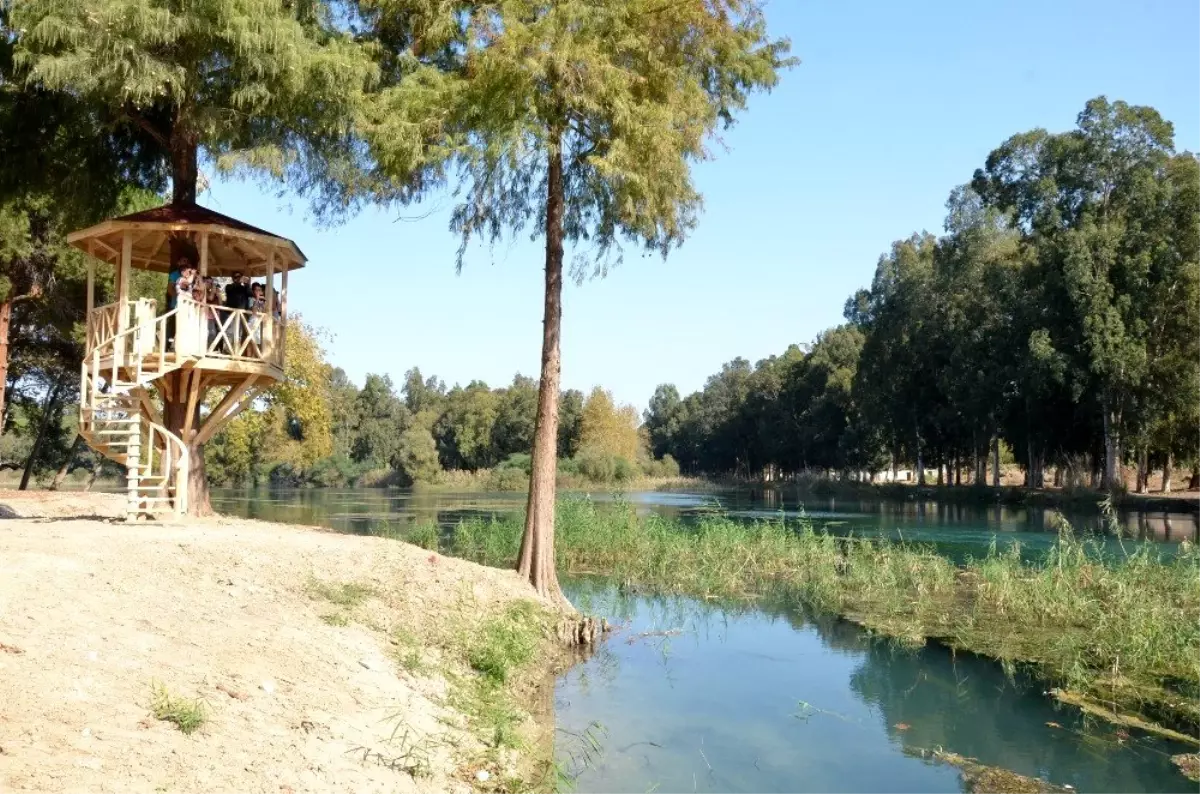 Hurda paletler, kuş gözlemevine dönüştü - Son Dakika