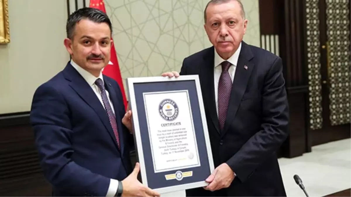 'En fazla fidan dikme rekoru' belgesi Cumhurbaşkanı Erdoğan'a takdim ...