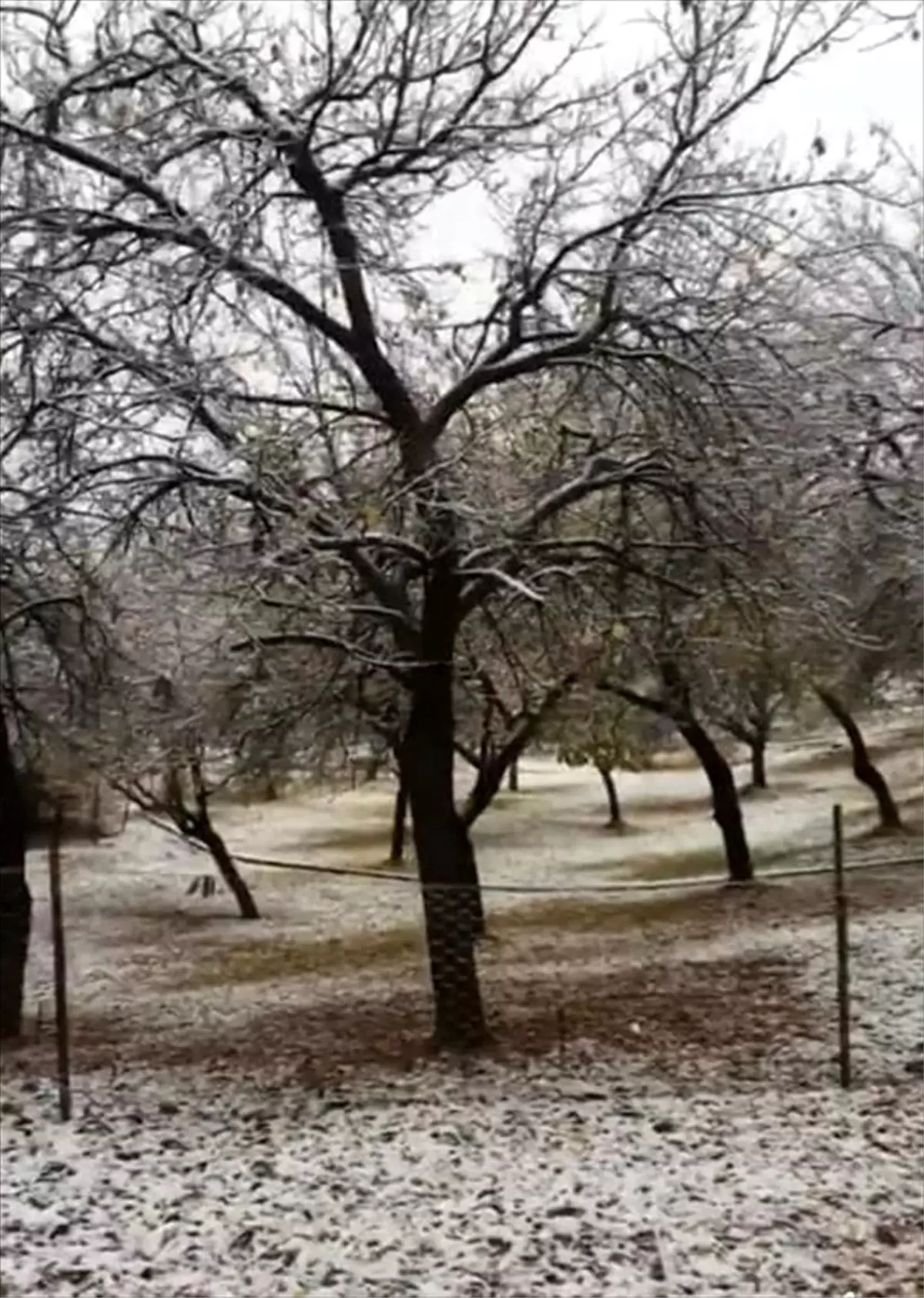 Baskil'de yılın ilk karı yağdı - Son Dakika