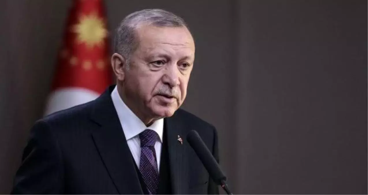 Erdoğan'ın veto ettiği termik santral teklifi yeni haliyle Meclis'te ...