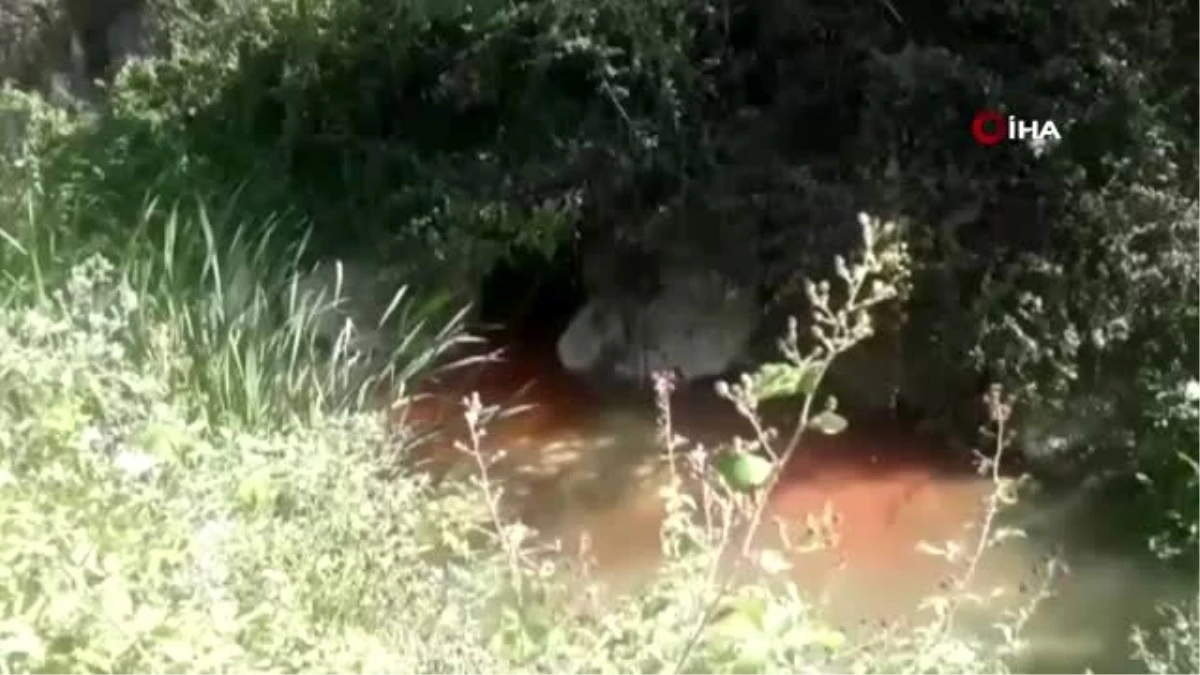 Bursa Kocasu deresinde çevre felaketi - Son Dakika