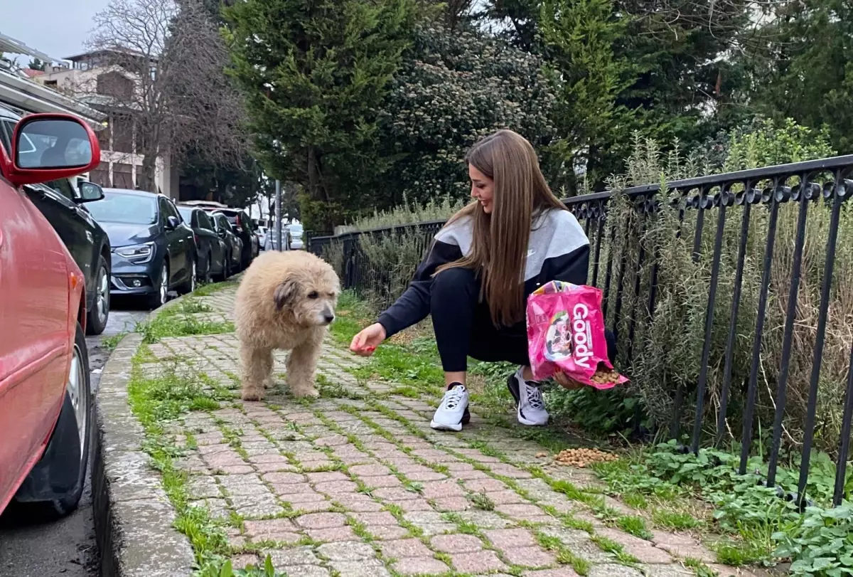 Sanatçı Ela Kaya'dan sokak hayvanlarına yardım çağrısı - Son Dakika