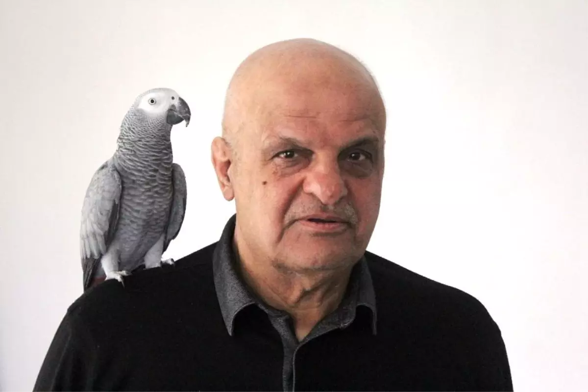 Papağan 'Ufuk' insan gibi konuşuyor - Son Dakika
