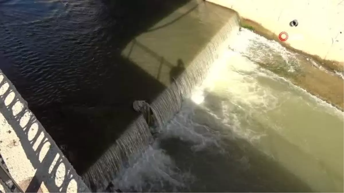 Yüksekova'da ıslah edilen derede 'uçan' balık şöleni - Son Dakika