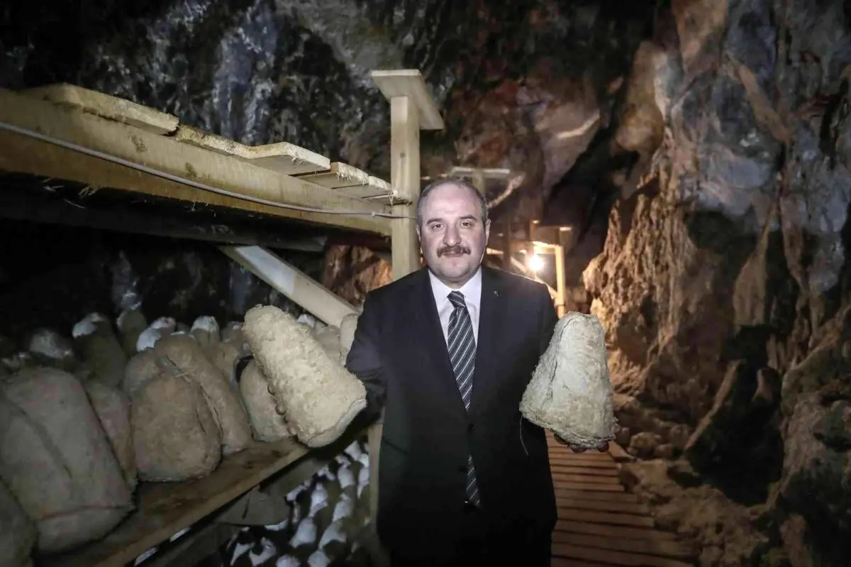 Bakan Varank: 'Divle Obruk Peyniri'nin kapasitesini arttırmayı ...