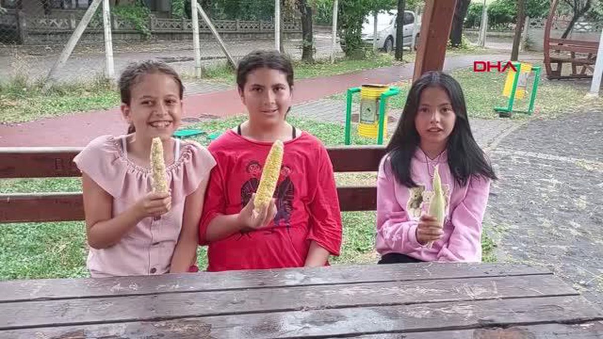 BAHÇESİNDEN MISIR ALAN 3 ÇOCUĞU DÖVMÜŞTÜ; 20 GÜN TEDBİR KARARI VERİLDİ ...