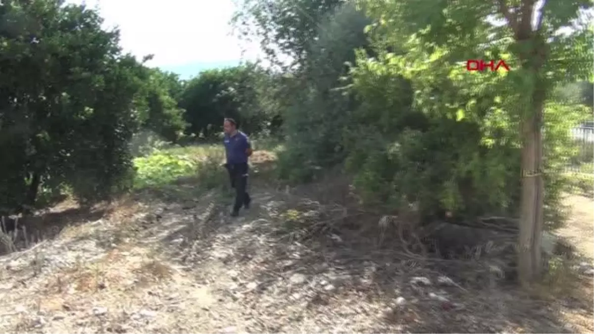 KAYIP LİSELİ HAKAN'IN ZEYTİNLİKTE BAŞINDAN VURULMUŞ CESEDİ BULUNDU ...