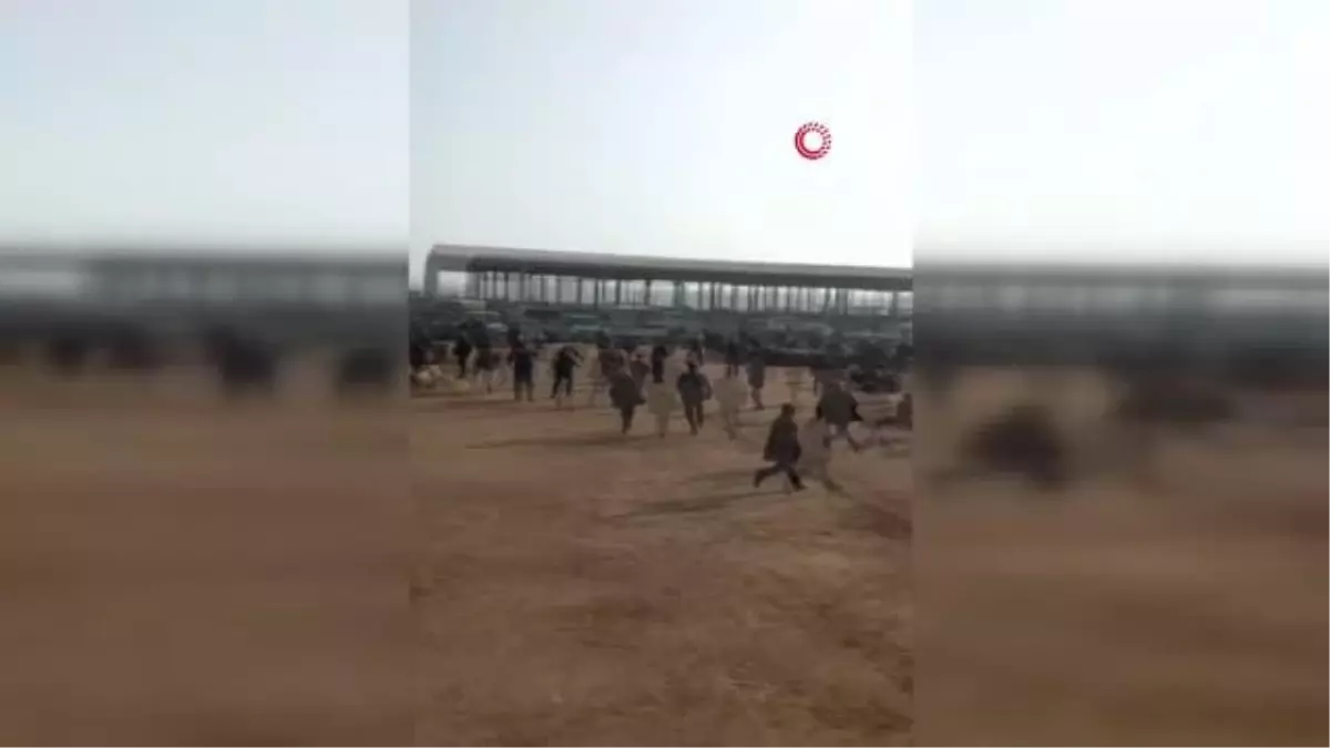 Iğdır'da mezbahaneden kaçan boğa hayvan pazarını birbirine kattı: 1 ...