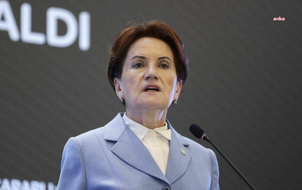 Meral Akşener'den Şırnak'ta Şehit Düşen Askerler İçin Taziye Mesajı ...
