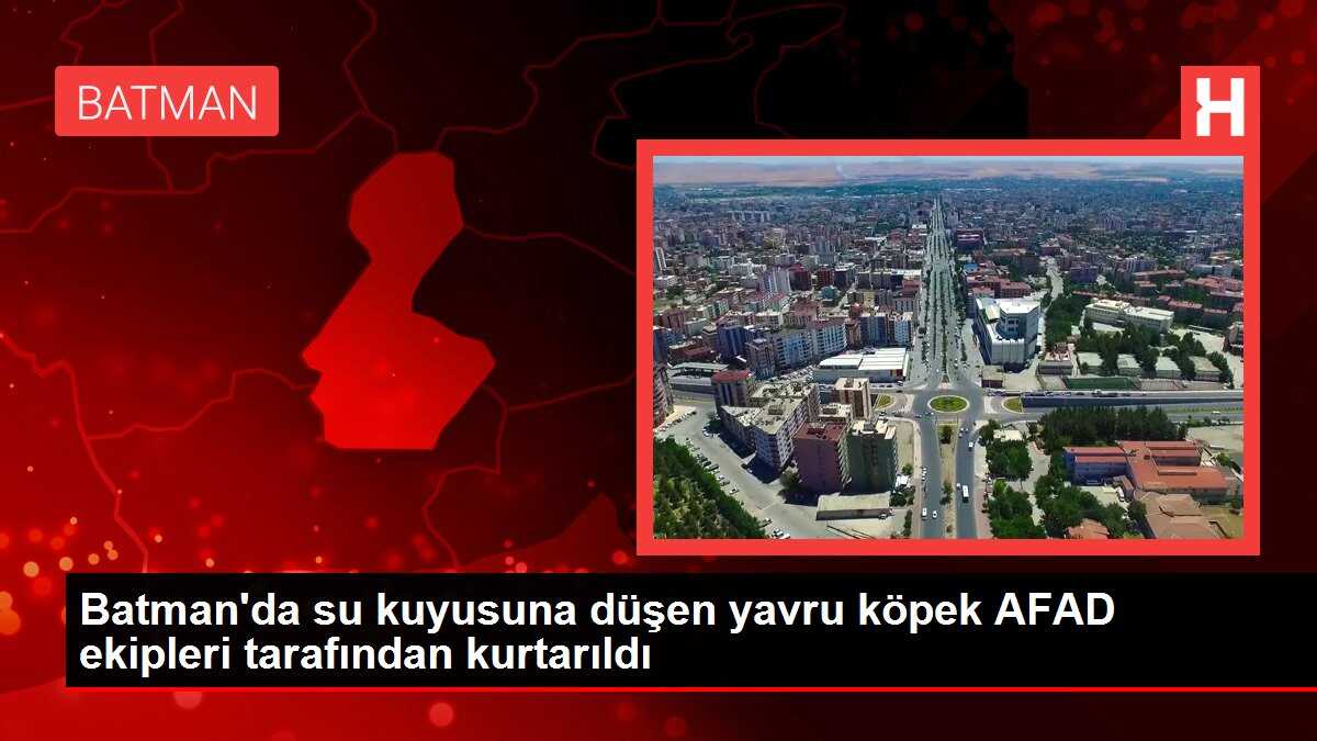 Batman'da su kuyusuna düşen yavru köpek AFAD ekipleri tarafından ...