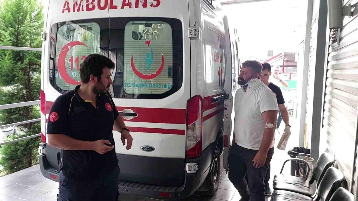 Zonguldak'ta yayaya çarpan araç sürücüsü yakalandı - Haberler