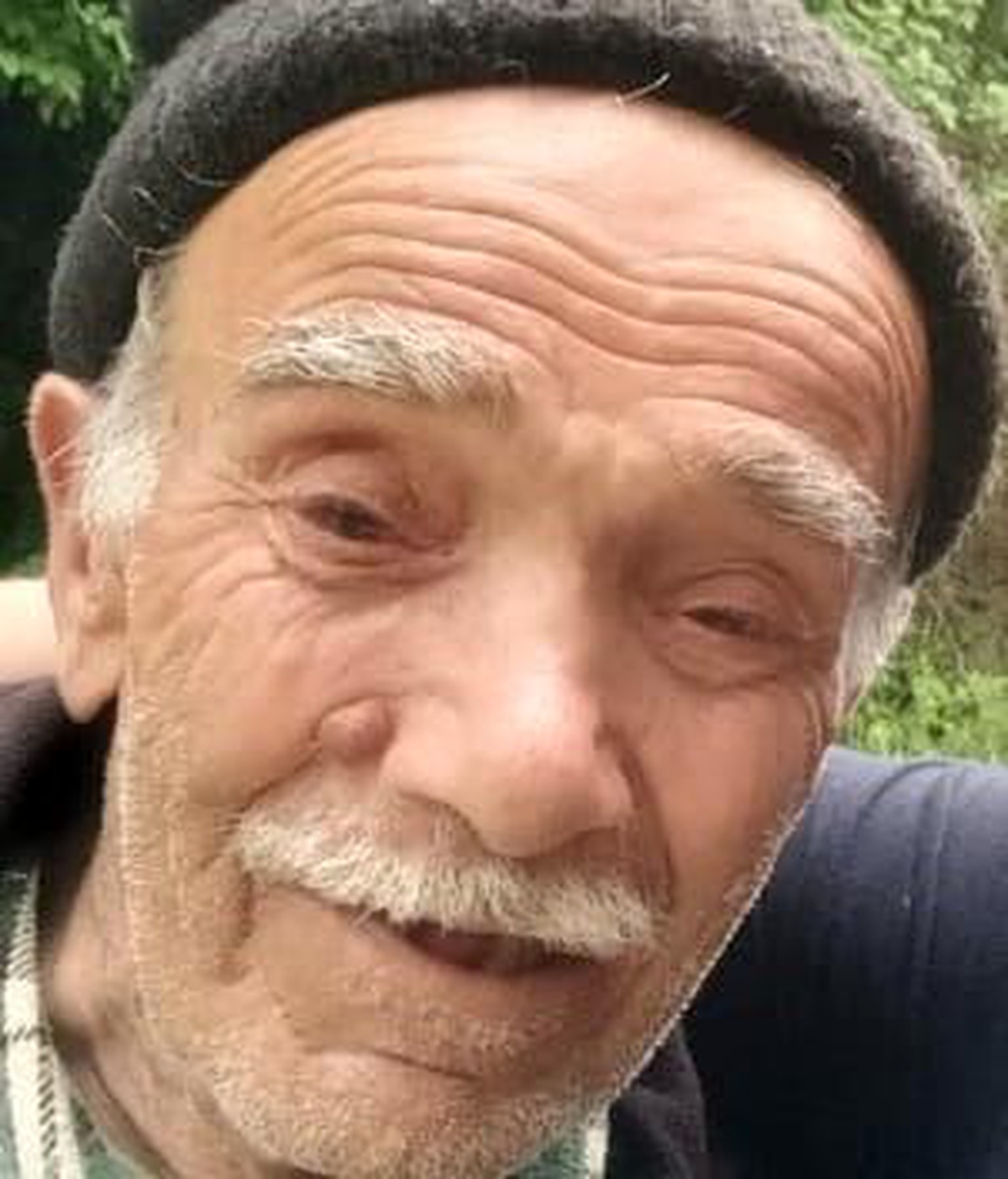 Kastamonu'nun Araç ilçesinde kaybolan yaşlı vatandaş ormanda ölü ...