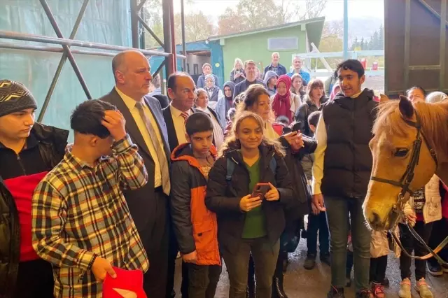 Son Dakika Çınarcık Haberleri - Çınarcık Son Dakika