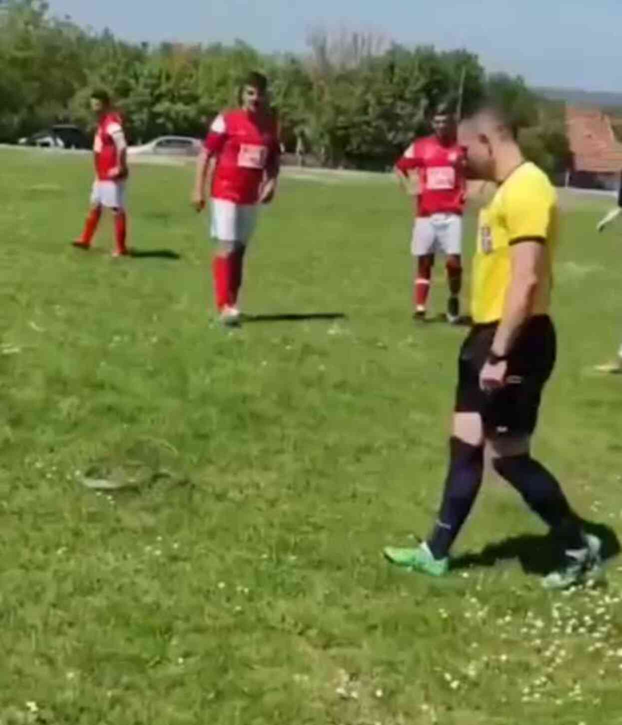 Yeşil sahalarda ender görülen an! Maçın hakemini yılan soktu - Son Dakika