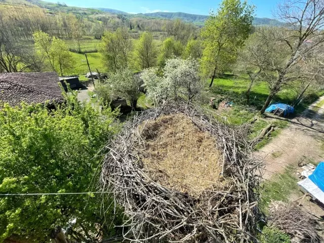 Son Dakika Kocaeli Haberleri - Kocaeli Son Dakika