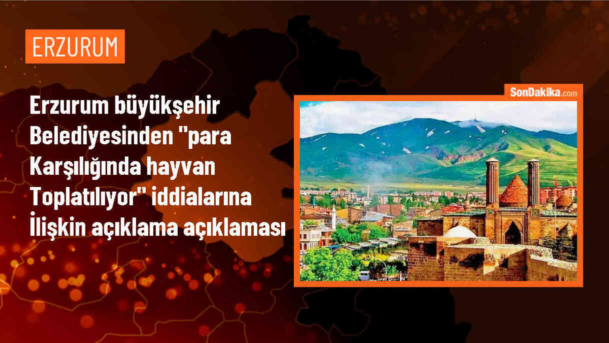 Erzurum Büyükşehir Belediyesi: 'Para karşılığında hayvan toplatılıyor ...