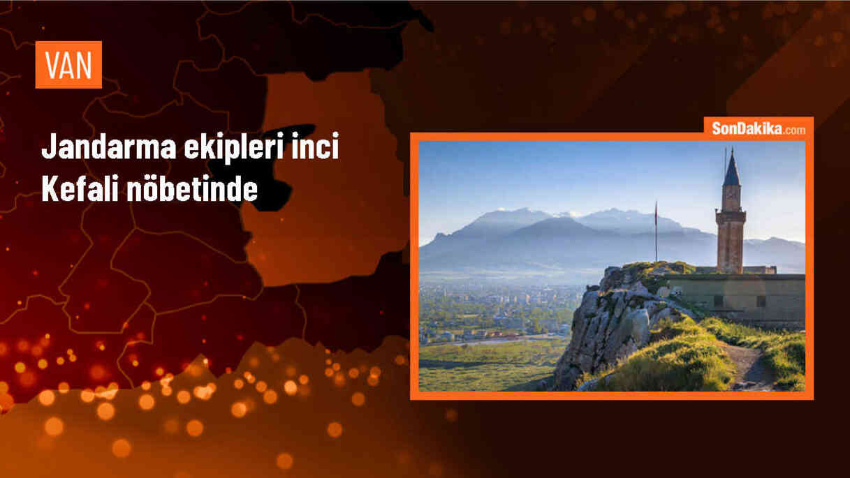 Van Gölü'ndeki İnci Kefali Göçü Jandarma Tarafından Korunuyor - Son Dakika