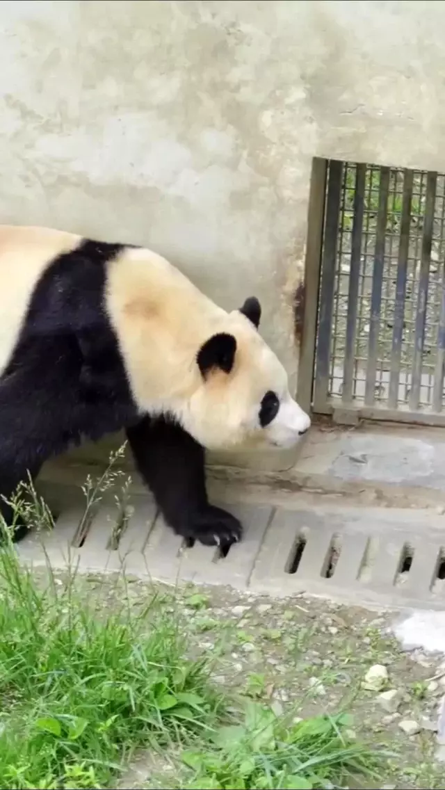 Son Dakika Güney Kore Haberleri - Güney Kore Son Dakika