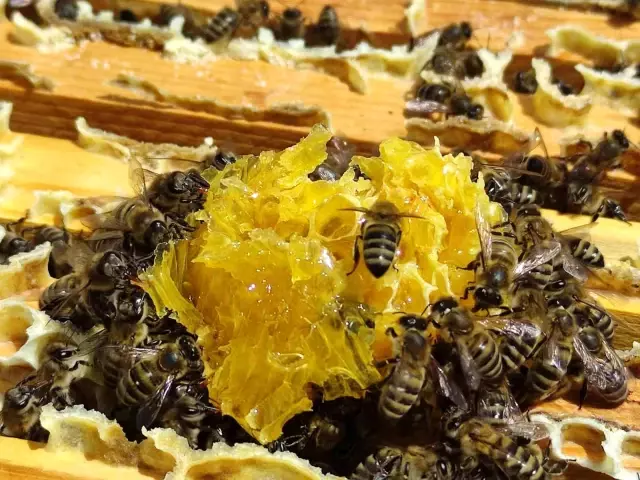 Son Dakika Ardahan Haberleri - Ardahan Son Dakika