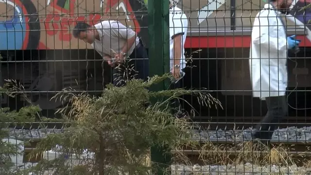 Son Dakika İntihar Haberleri - İntihar Son Dakika