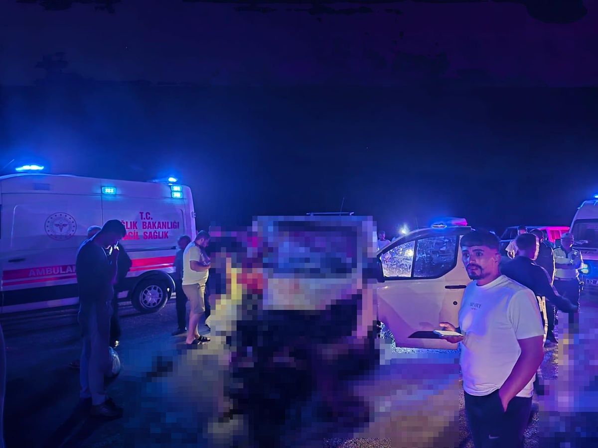 Bingöl'de minibüs ata çarptı: 1 ölü, 2 yaralı - Son Dakika