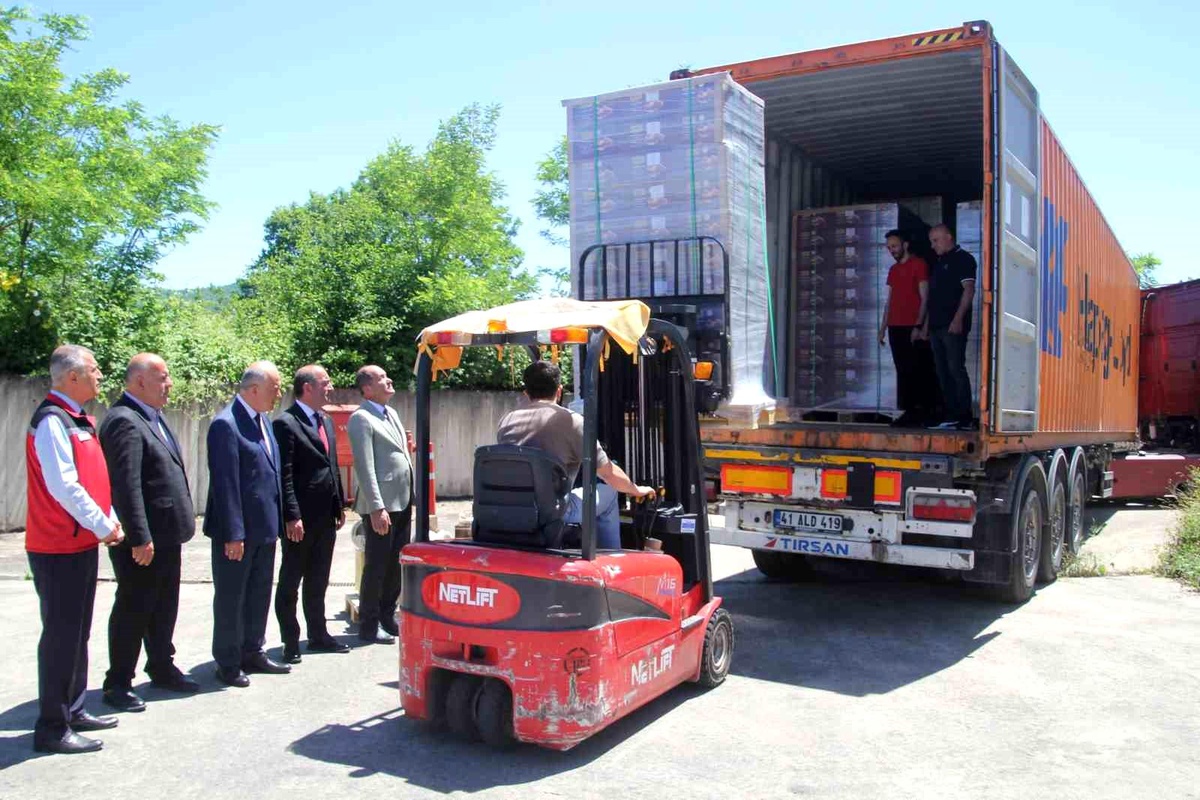 Ordu'dan İngiltere'ye bal ihracatı sürüyor - Son Dakika