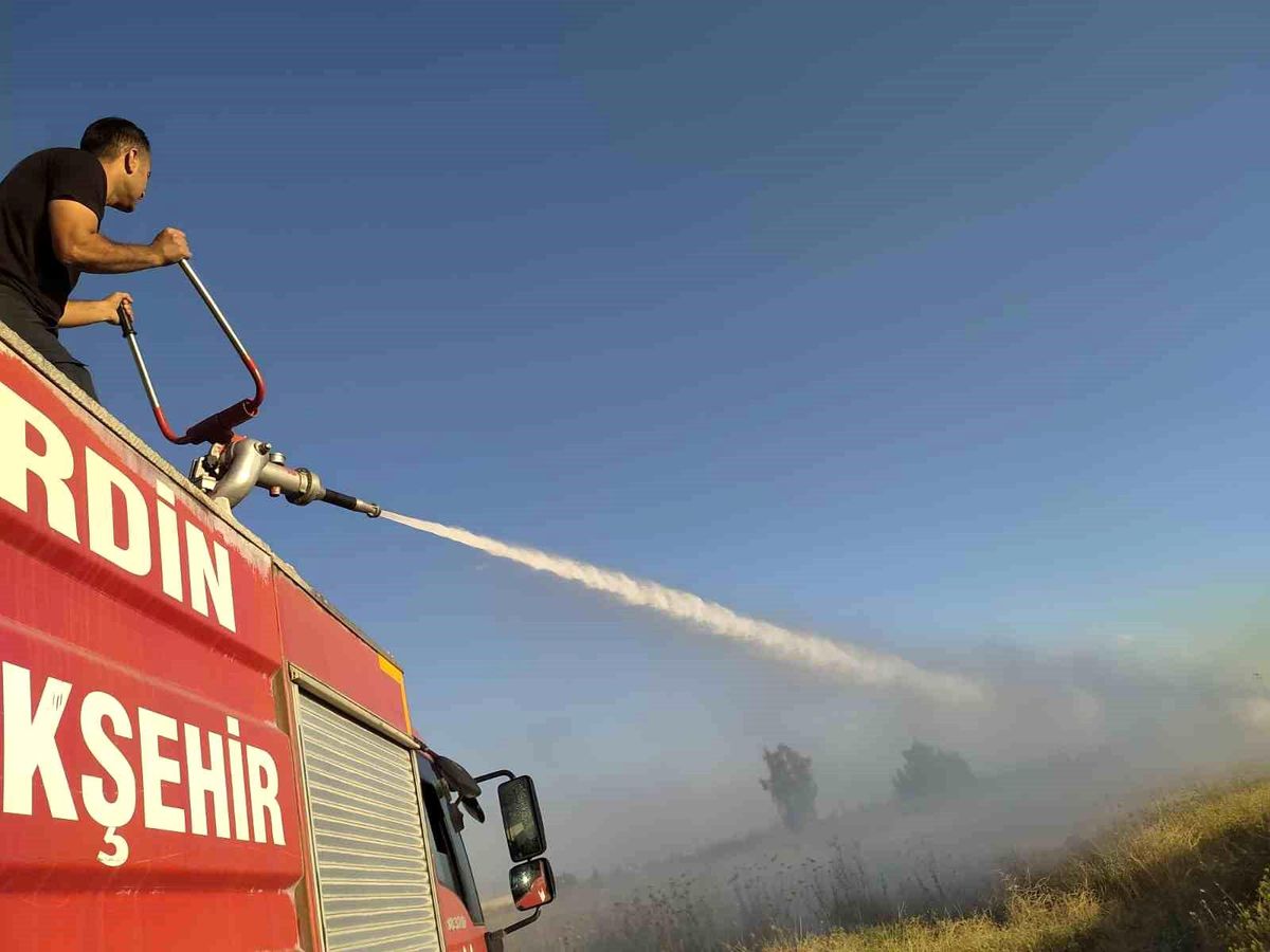 Mardin'de 1 haftada 236 yangına müdahale edildi - Son Dakika